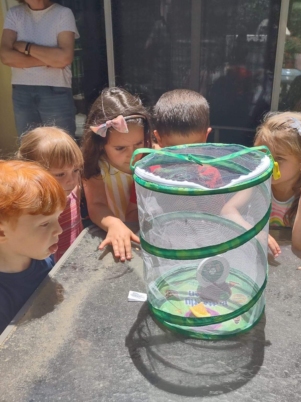 Nature & the Environment – Tolstoy Preschool
